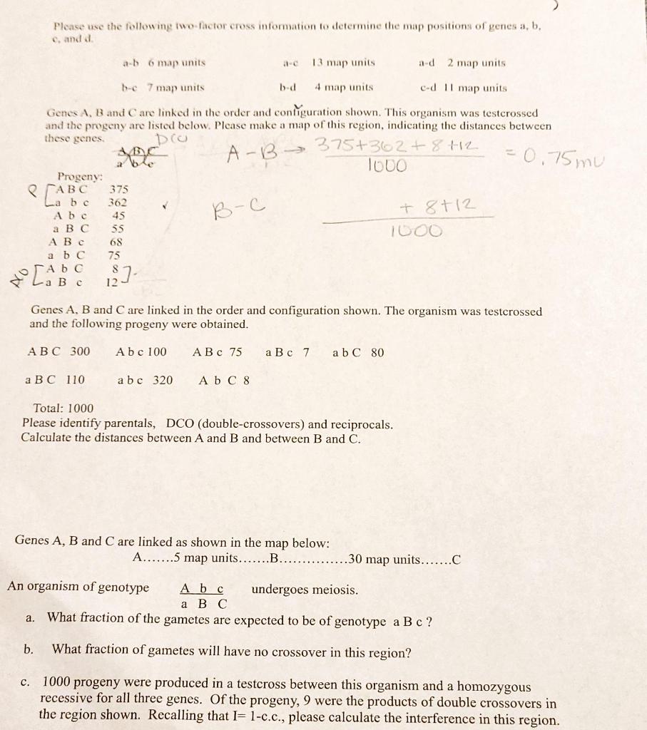 Solved Please use the following two-factor cross information | Chegg.com