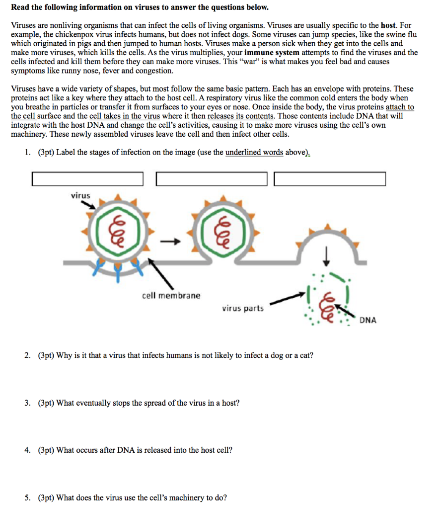 Solved Read the following information on viruses to answer | Chegg.com
