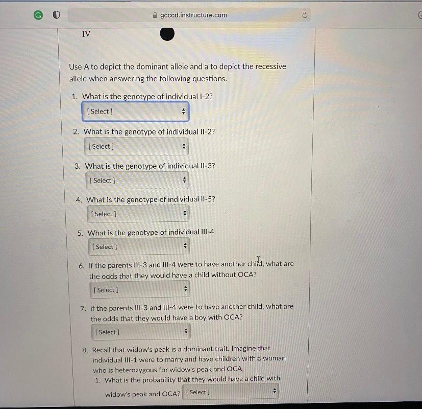 Solved Question 35 15 pts Oculocutaneous albinism (OCA, or | Chegg.com