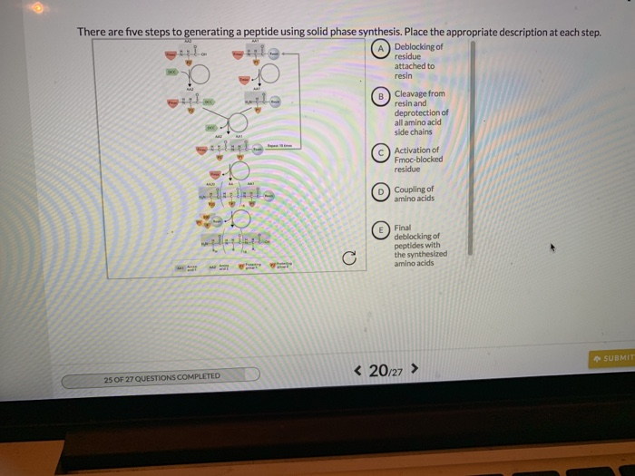 Solved There are five steps to generating a peptide using | Chegg.com