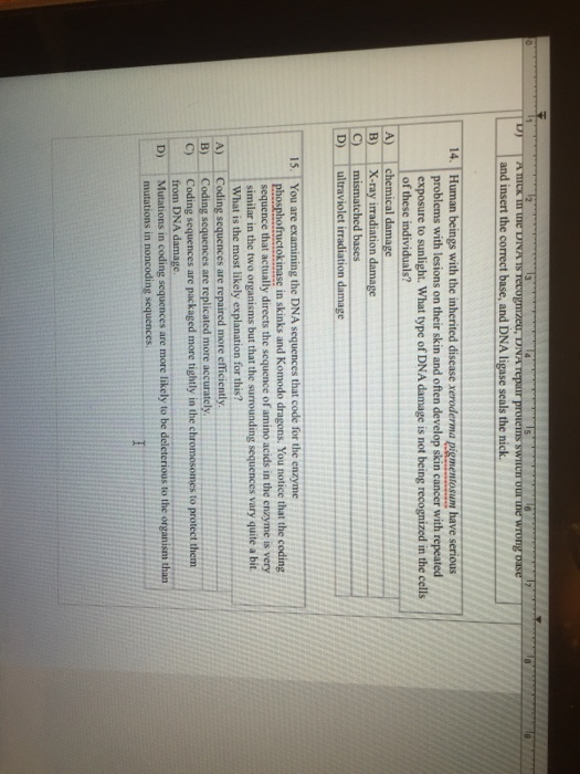 Solved 12. Even though DNA polymerase has a proofreading | Chegg.com