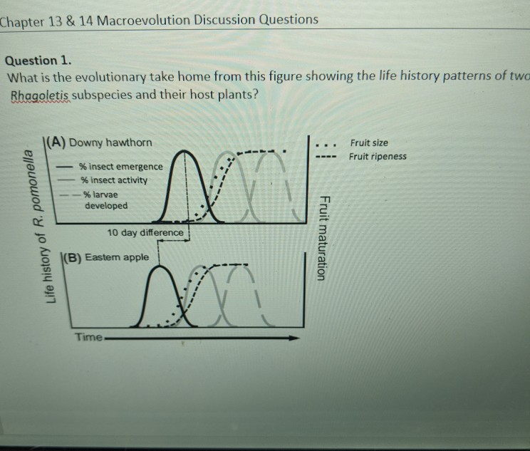 Solved Chapter 13 & 14 Macroevolution Discussion Questions | Chegg.com