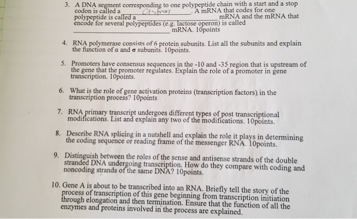 Solved A DNA segment corresponding to one polypeptide chain | Chegg.com