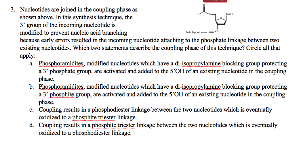 Solved DMT-03 Base 2 1. Detritylation Solid Support Linke 2. | Chegg.com