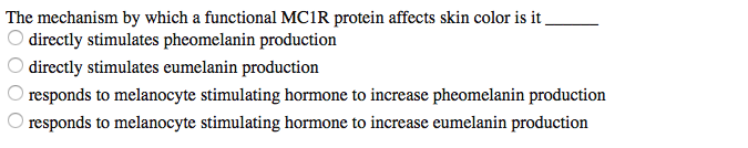 Solved The mechanism by which a functional MCIR protein | Chegg.com