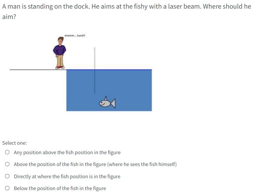 Solved A man is standing on the dock. He aims at the fishy | Chegg.com