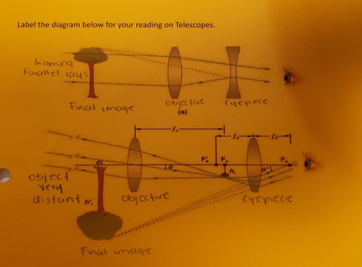 Solved Telescope and Lens Label the diagram below for your | Chegg.com