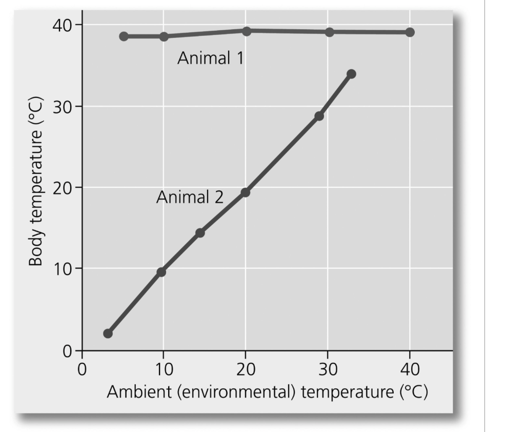Solved 40 Animal 1 30 Body temperature (°C) 20 Animal 2 10 0 | Chegg.com