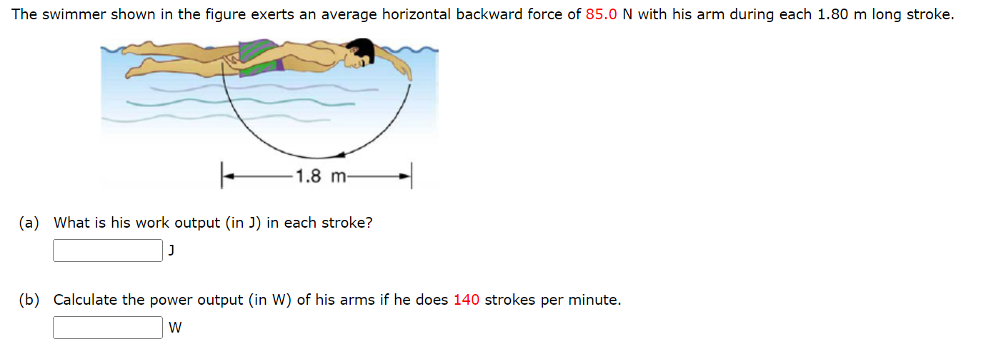 Solved The swimmer shown in the figure exerts an average | Chegg.com