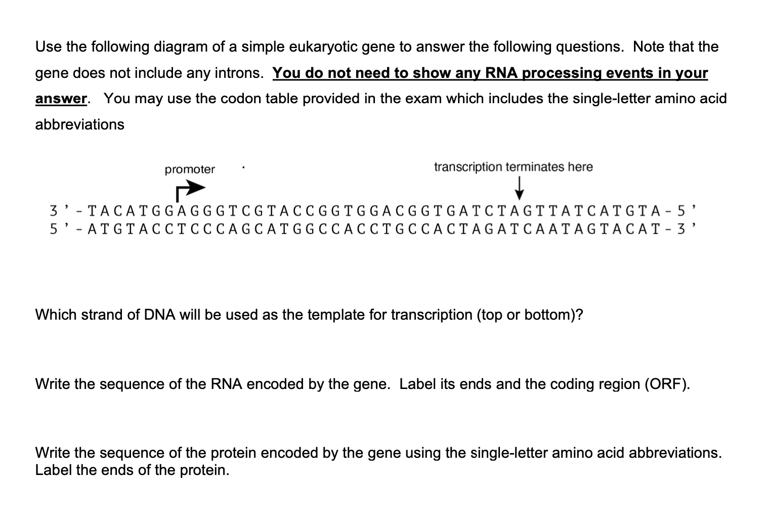 Use the following diagram of a simple eukaryotic gene | Chegg.com