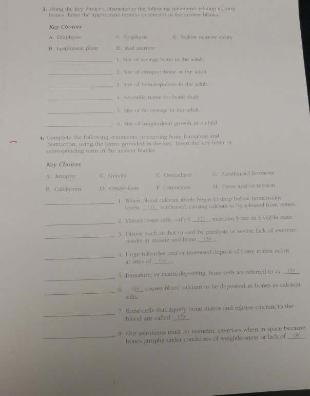 Solved 3. Using the key choices, characterize the following | Chegg.com