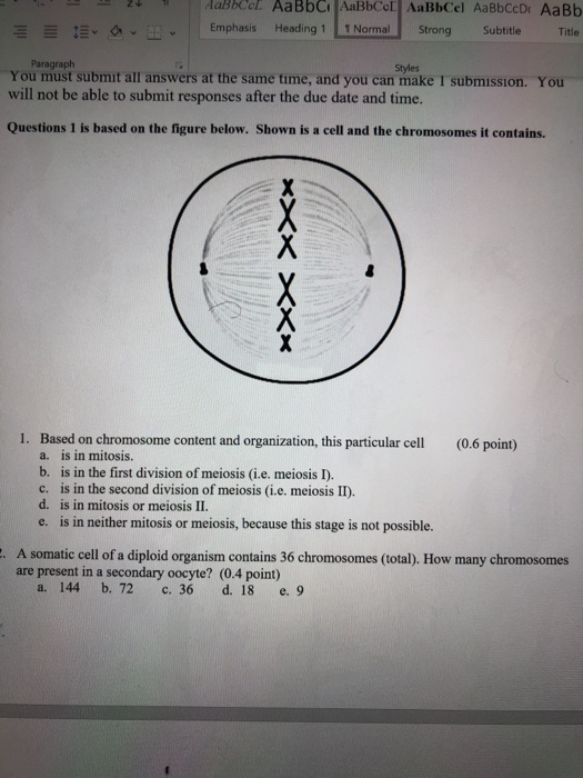 Solved Aabbel AaBbci AaBbce AaBbCel AaBbCcD: AaBb Emphasis | Chegg.com