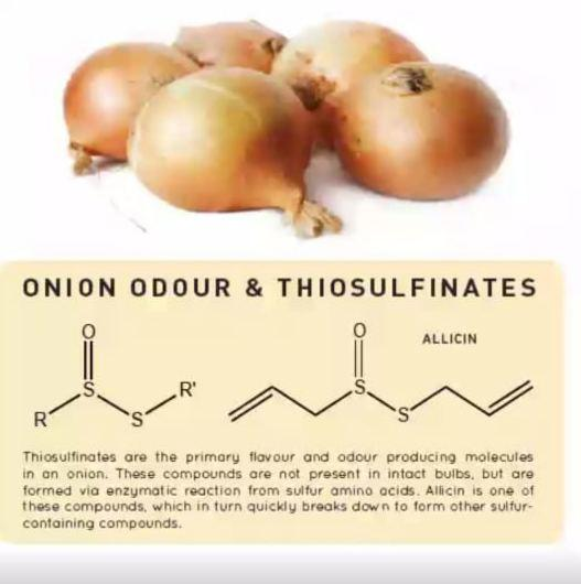 Solved ONION ODOUR & THIOSULFINATES ALLICIN Linh | Chegg.com