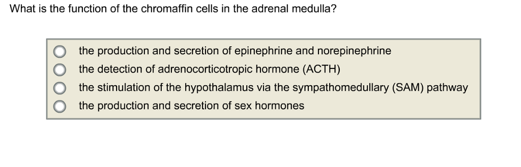 Solved What is the function of the chromaffin cells in the | Chegg.com