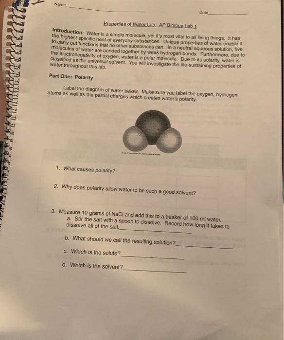 Solved Name Date Properties Of Water Lab AP Biology Lab 1 Chegg