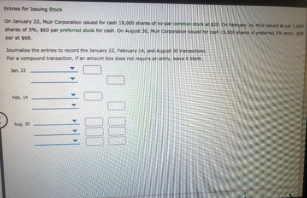 Solved Entries for Issuing Stock On January 22, Muir | Chegg.com