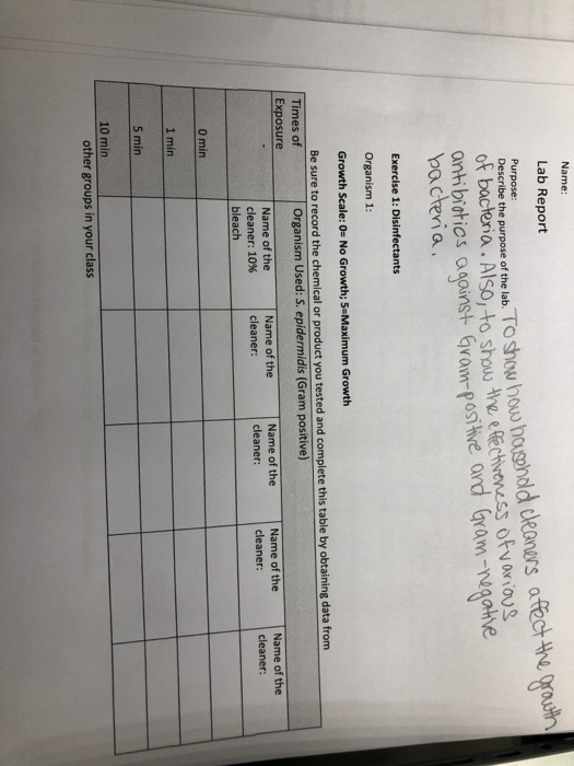 Solved Name Lab Report Purpose: Describe the purpose of the | Chegg.com