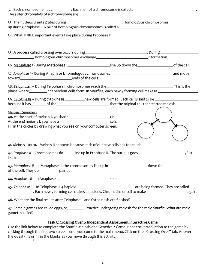 Solved MEIOSIS WEBQUEST Objective: Discover how the process | Chegg.com