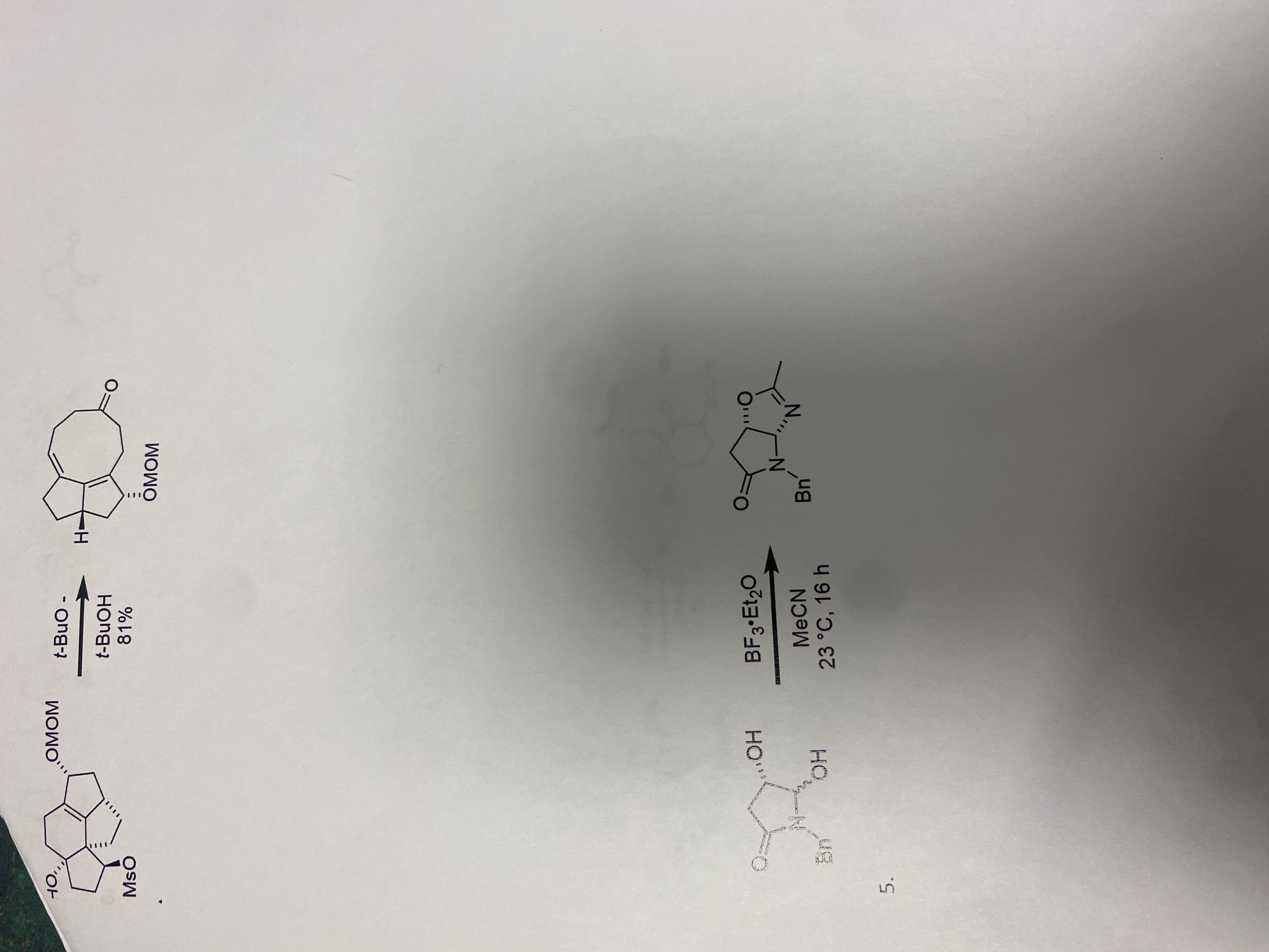 Solved t−BuOH81% t−BuO | Chegg.com