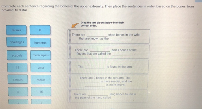 Solved Complete each sentence regarding the bones of the | Chegg.com