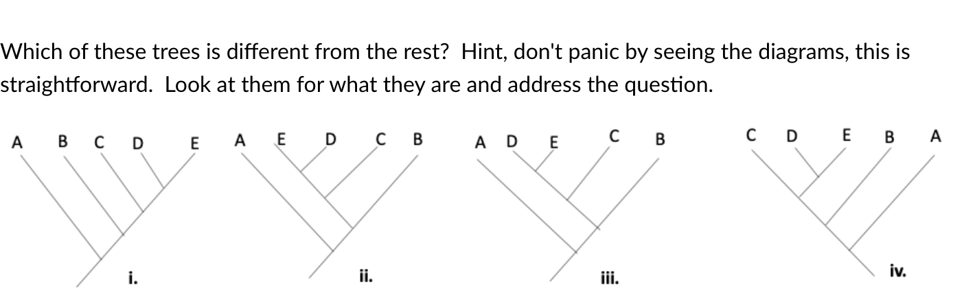 Solved Which of these trees is different from the rest? | Chegg.com