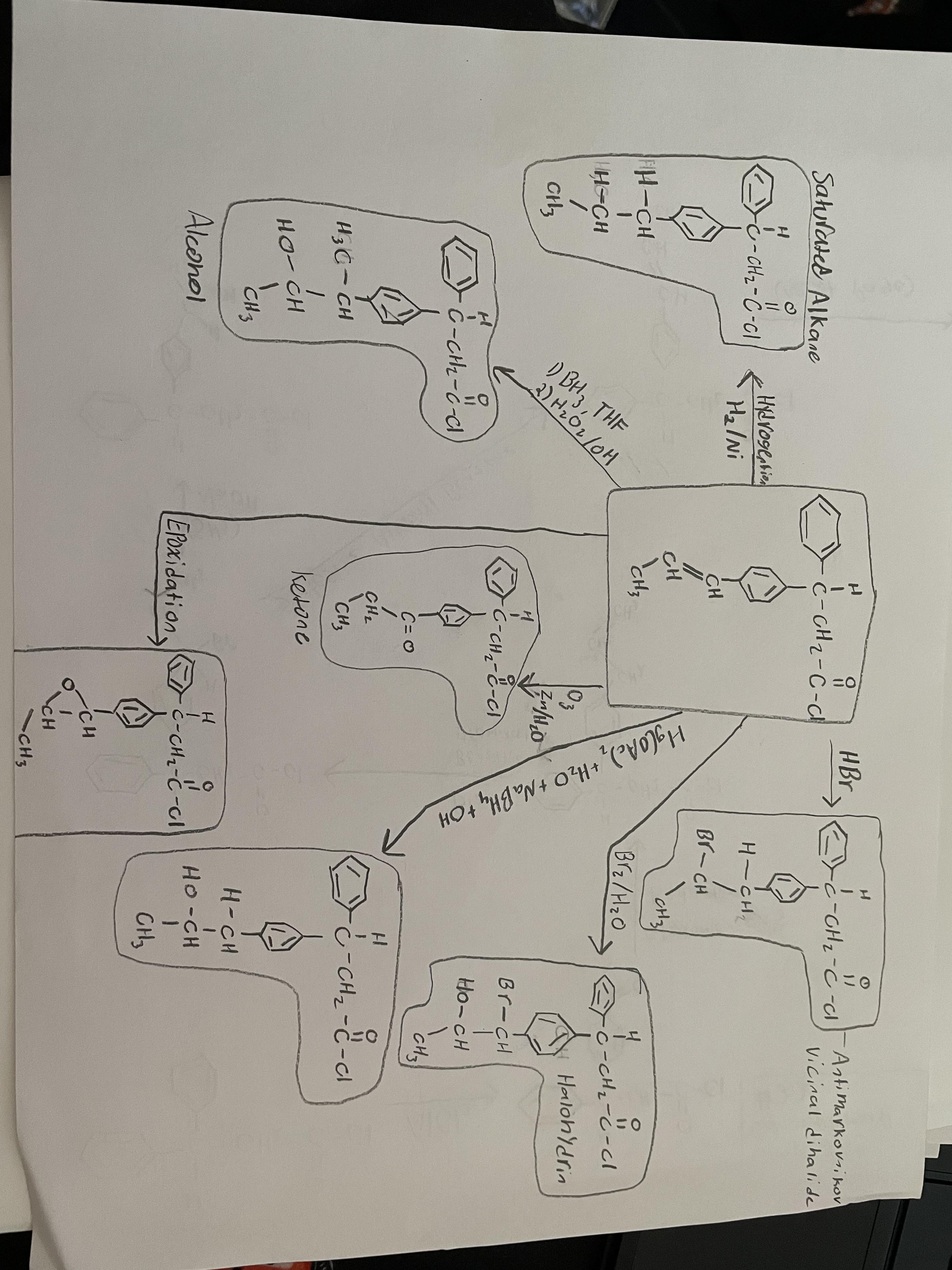 (r) AlCOhol | Chegg.com