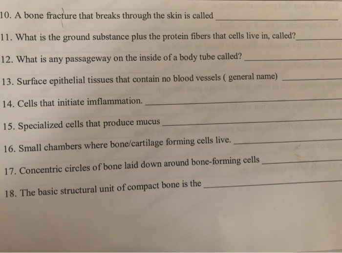Solved 10. A bone fracture that breaks through the skin is | Chegg.com