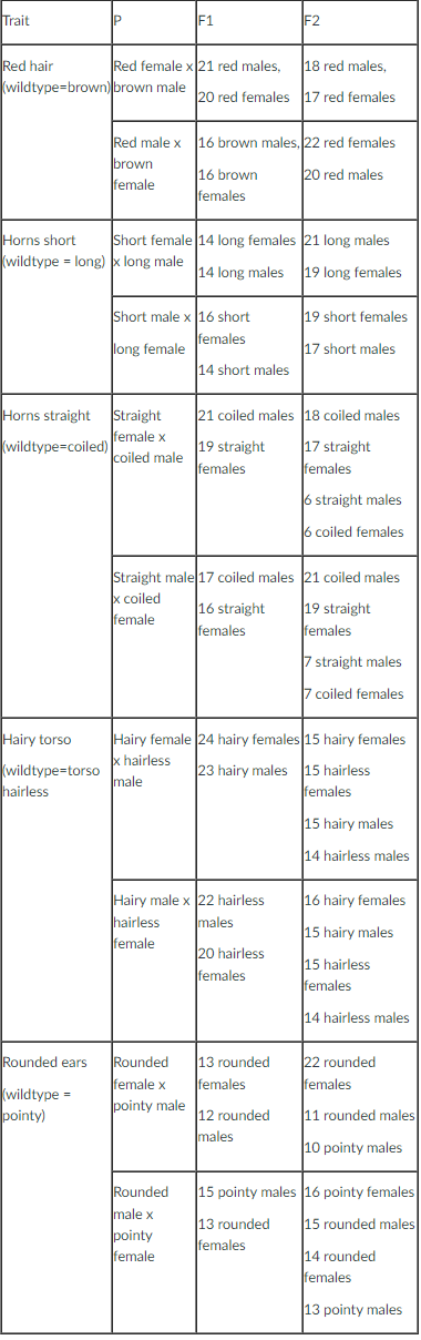Solved TRAITS:red hair ___________short horns | Chegg.com