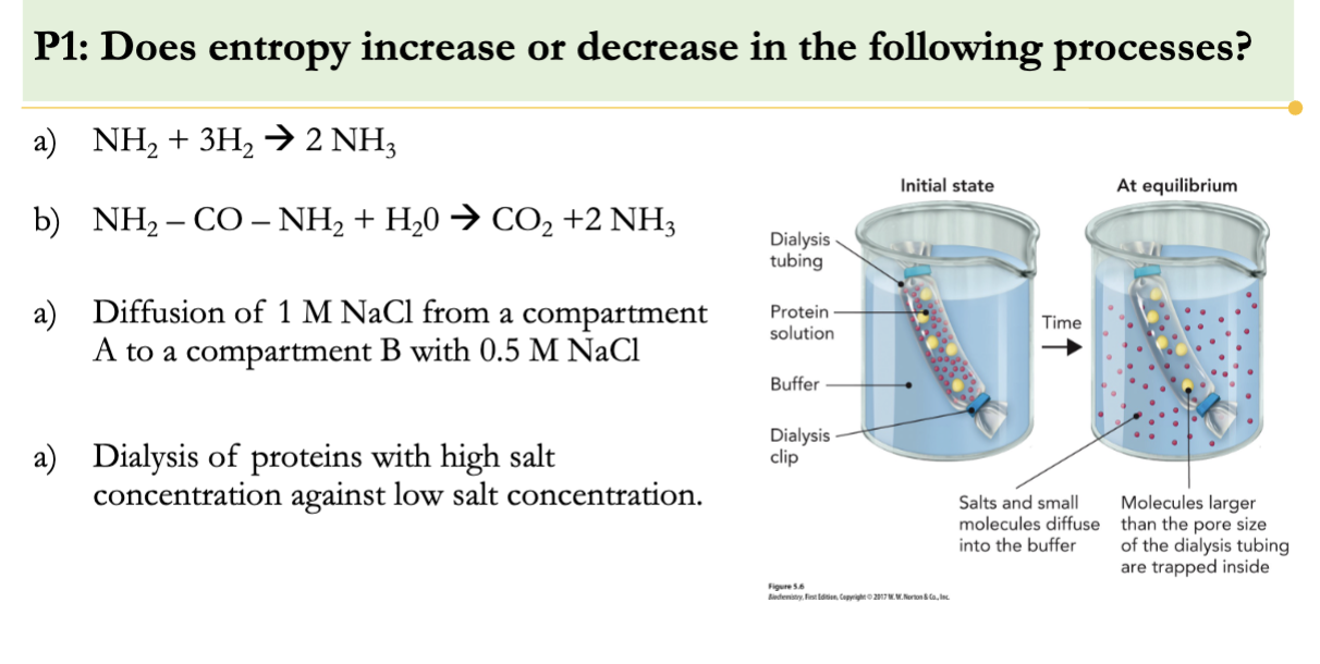 Solved P1: Does entropy increase or decrease in the | Chegg.com