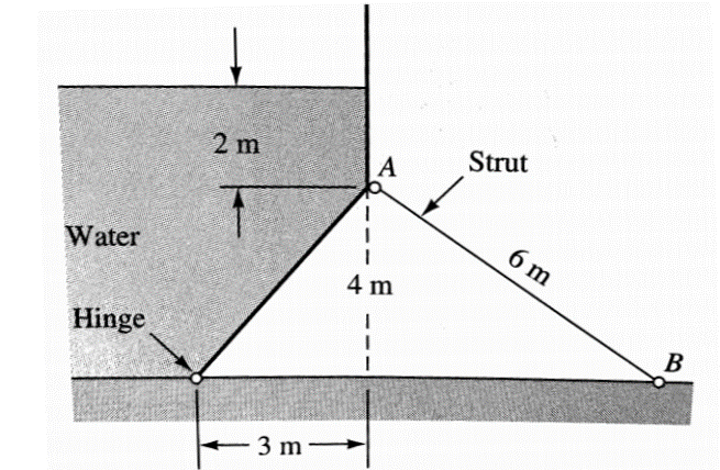 Solved The dam in the figure below has a strut AB every 10 | Chegg.com