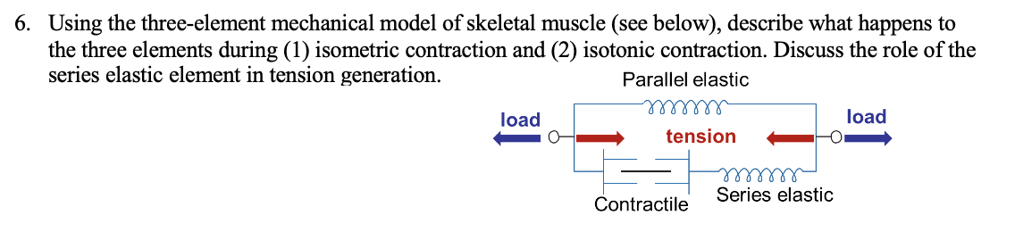 Solved 6. Using the three-element mechanical model of | Chegg.com