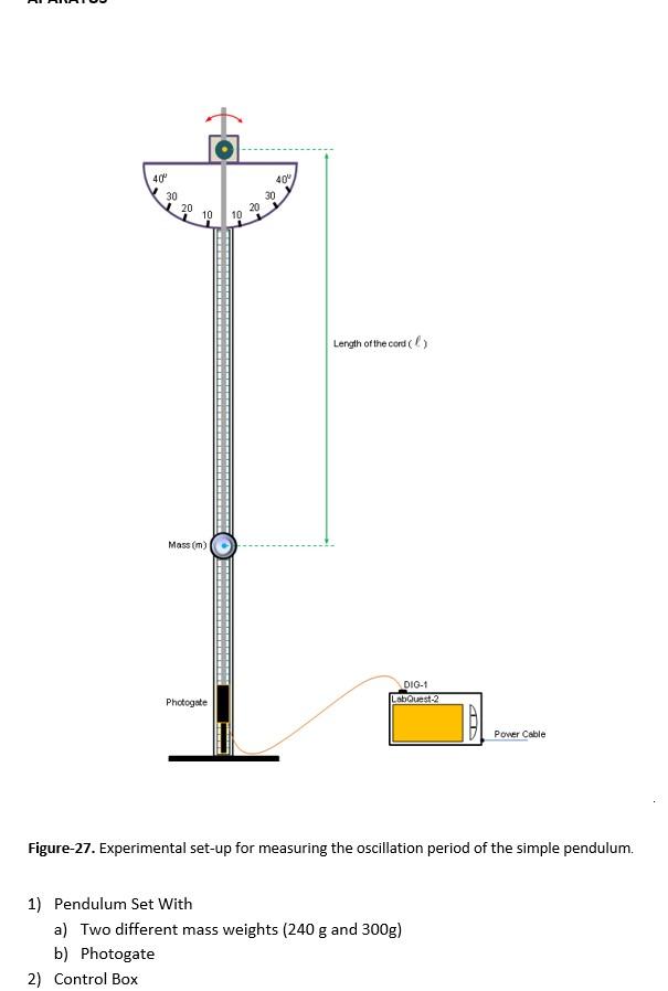Solved In measuring the pendulum period, should the | Chegg.com