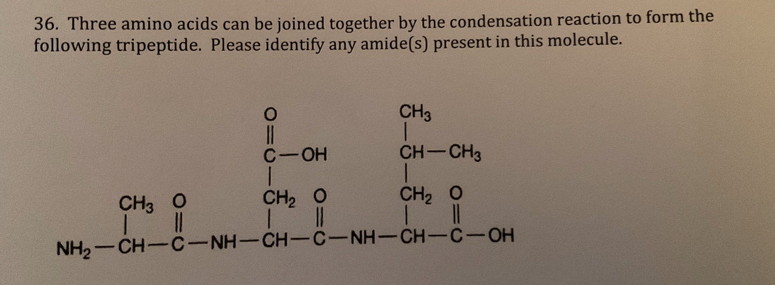 [Solved]: 36. Three amino acids can be joined together by