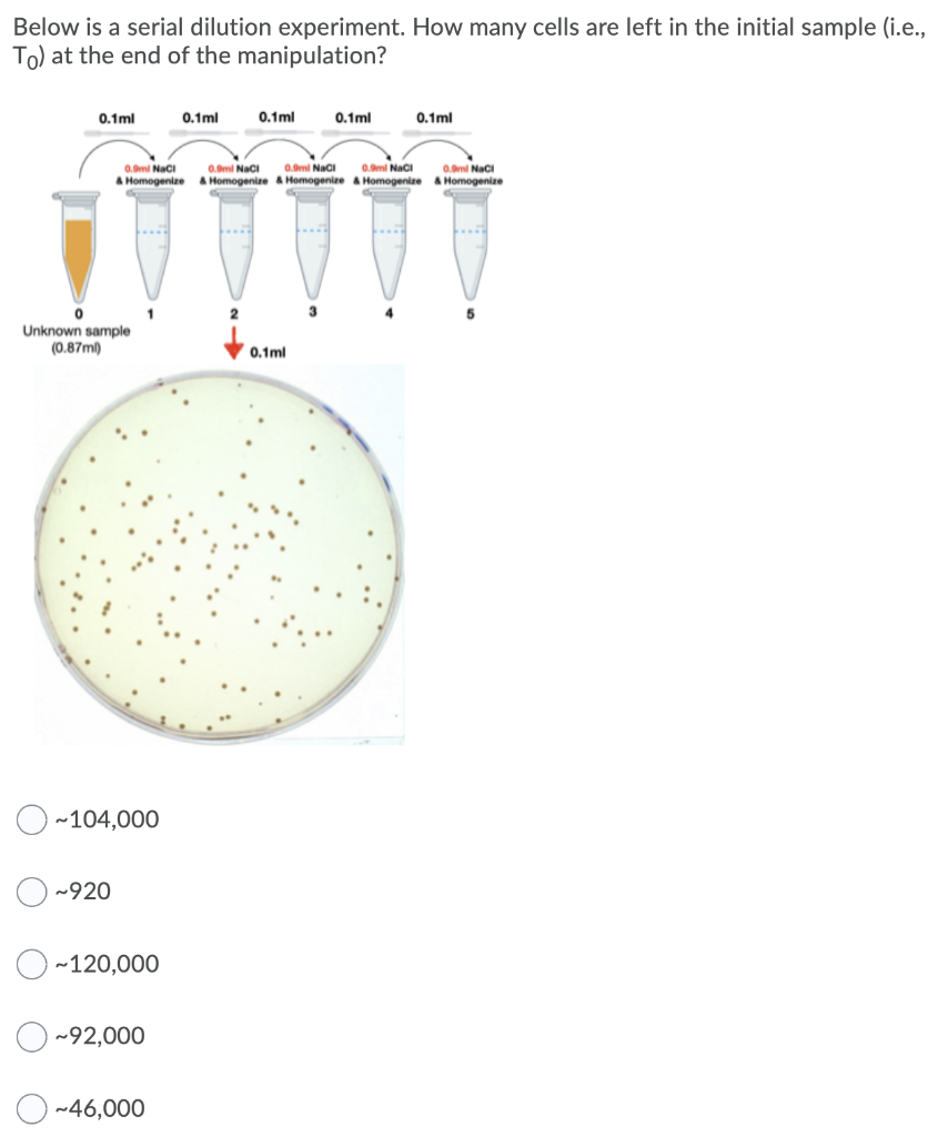 Solved Below is a serial dilution experiment. How many cells | Chegg.com