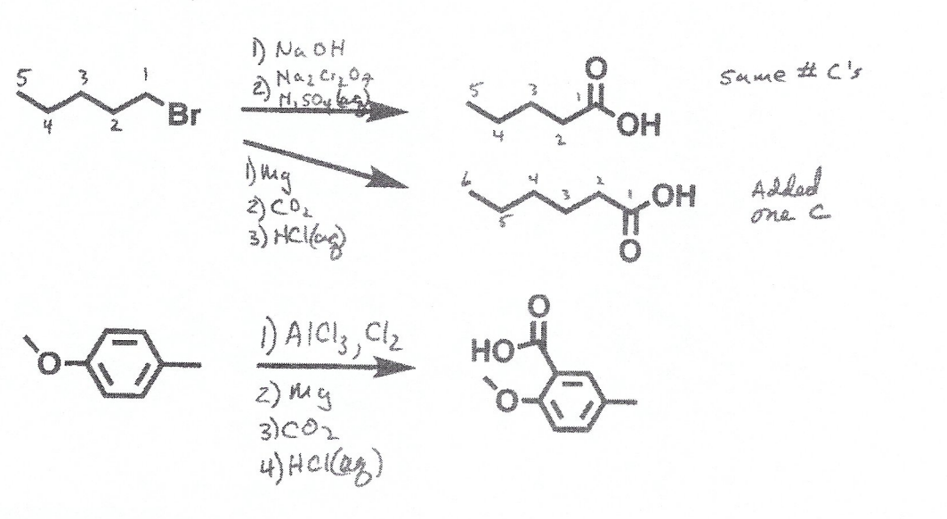 Solved 1) NaOH Sume C's 1) mig−1 2) CO2 3) H(ca) Aldad ona. | Chegg.com