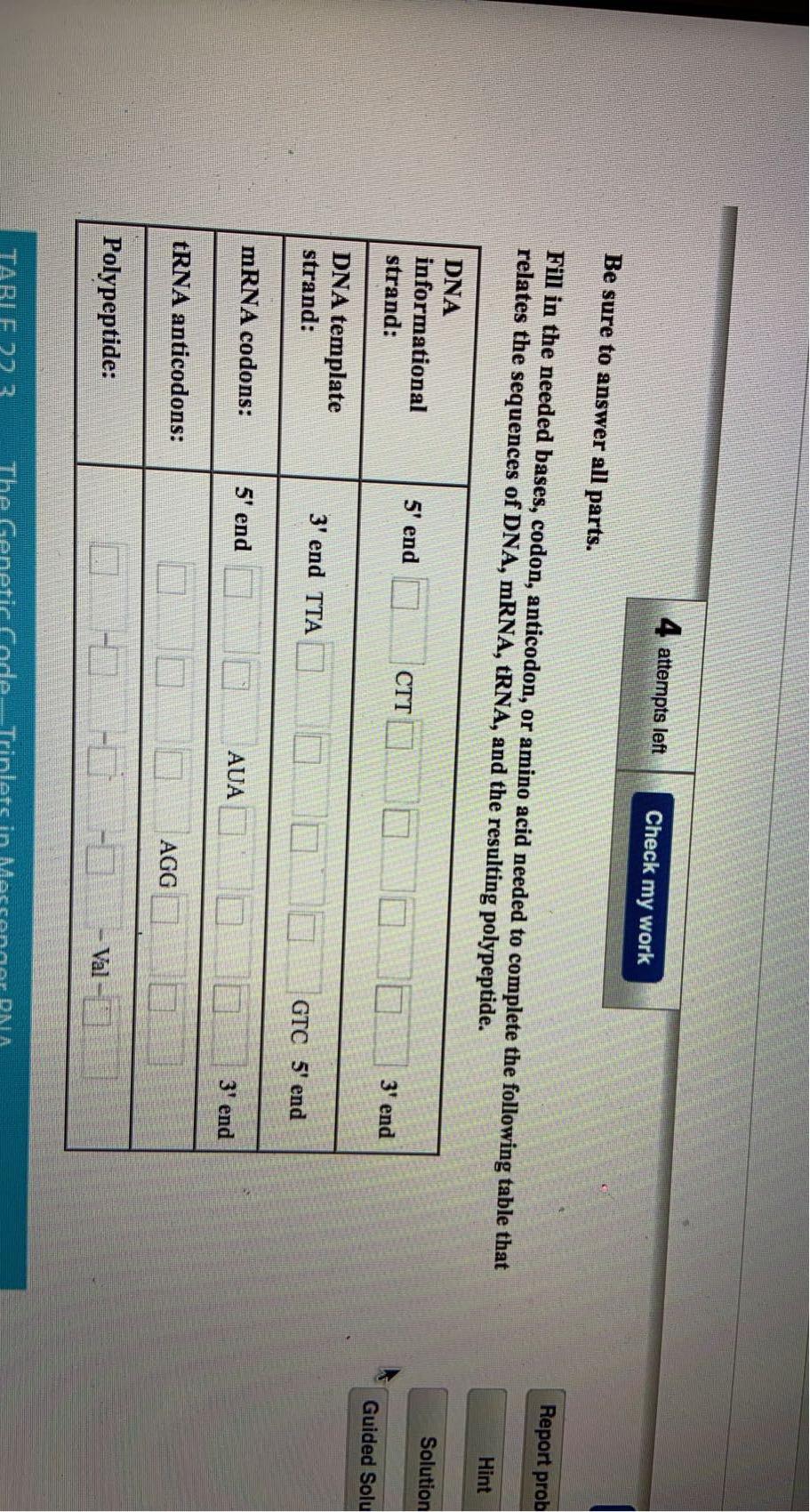 Solved TABLE 22.3 The Genetic Code-Triplets in Messenger RNA | Chegg.com