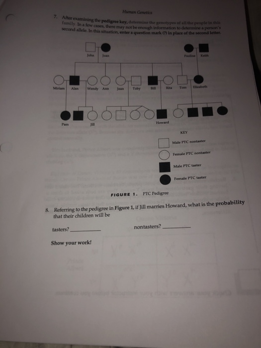 Solved Human Genetics 7. After examining the pedigree key, | Chegg.com
