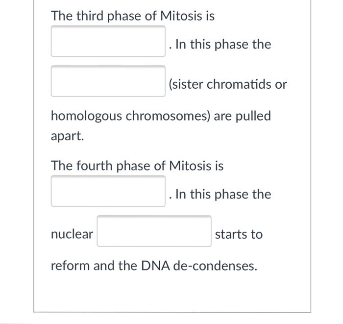 Solved The first phase of Mitosis is . In this phase the DNA | Chegg.com