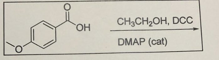 Solved DMAP (cat) CH2OH,DCCCH3 | Chegg.com