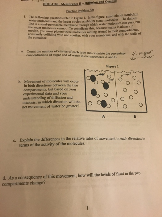 Solved Osmesis BIOL1100: Membranes II-Diffusion and 1. The | Chegg.com