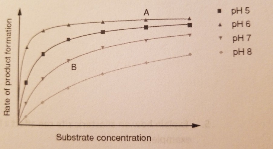Solved The graph on the right represents an experiment in | Chegg.com