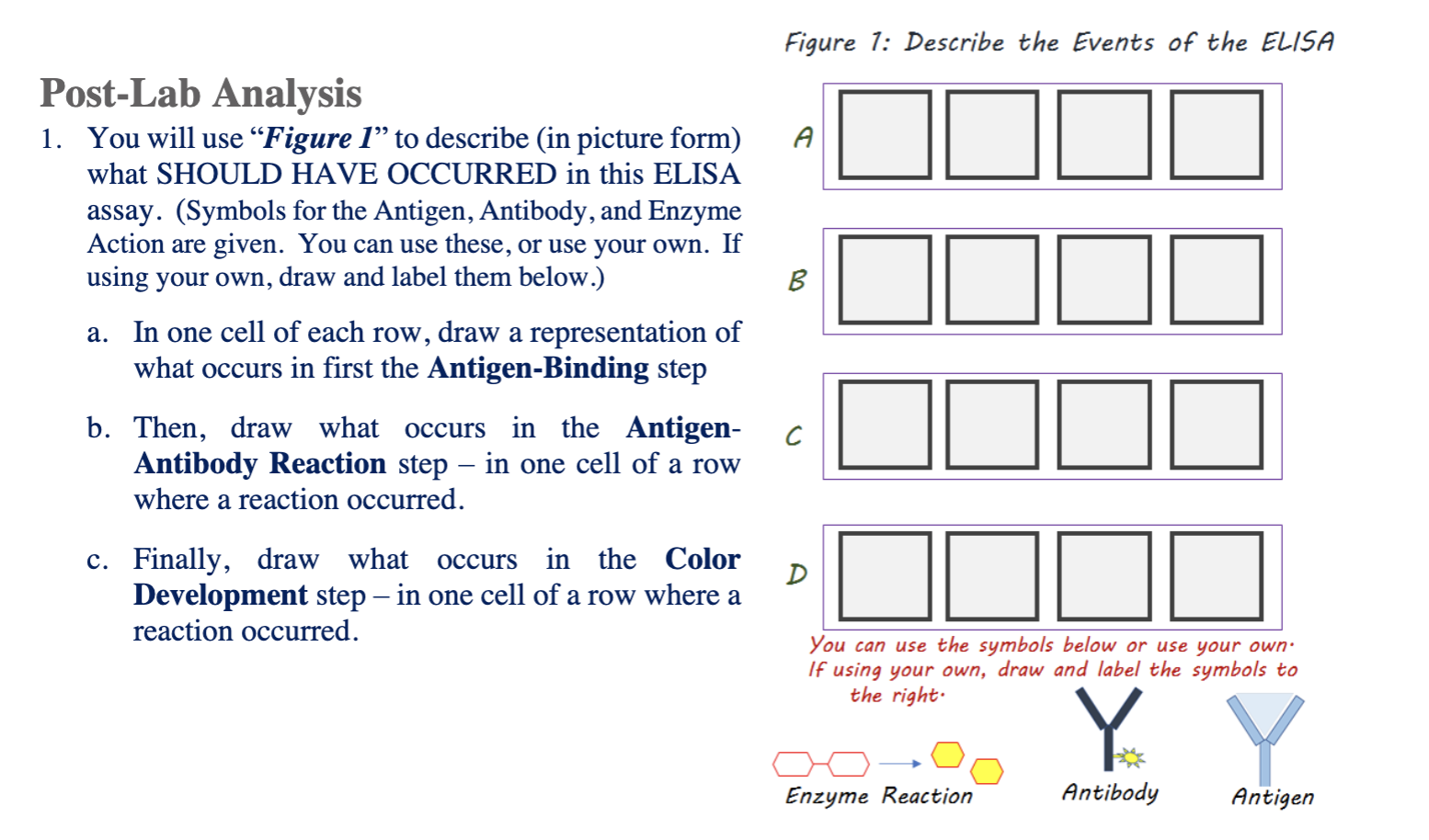 Solved Figure 1: Describe the Events of the ELISA Post-Lab | Chegg.com
