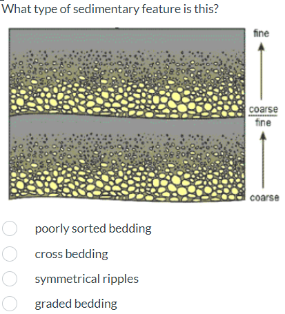 Solved What type of sedimentary feature is this? fine coarse | Chegg.com