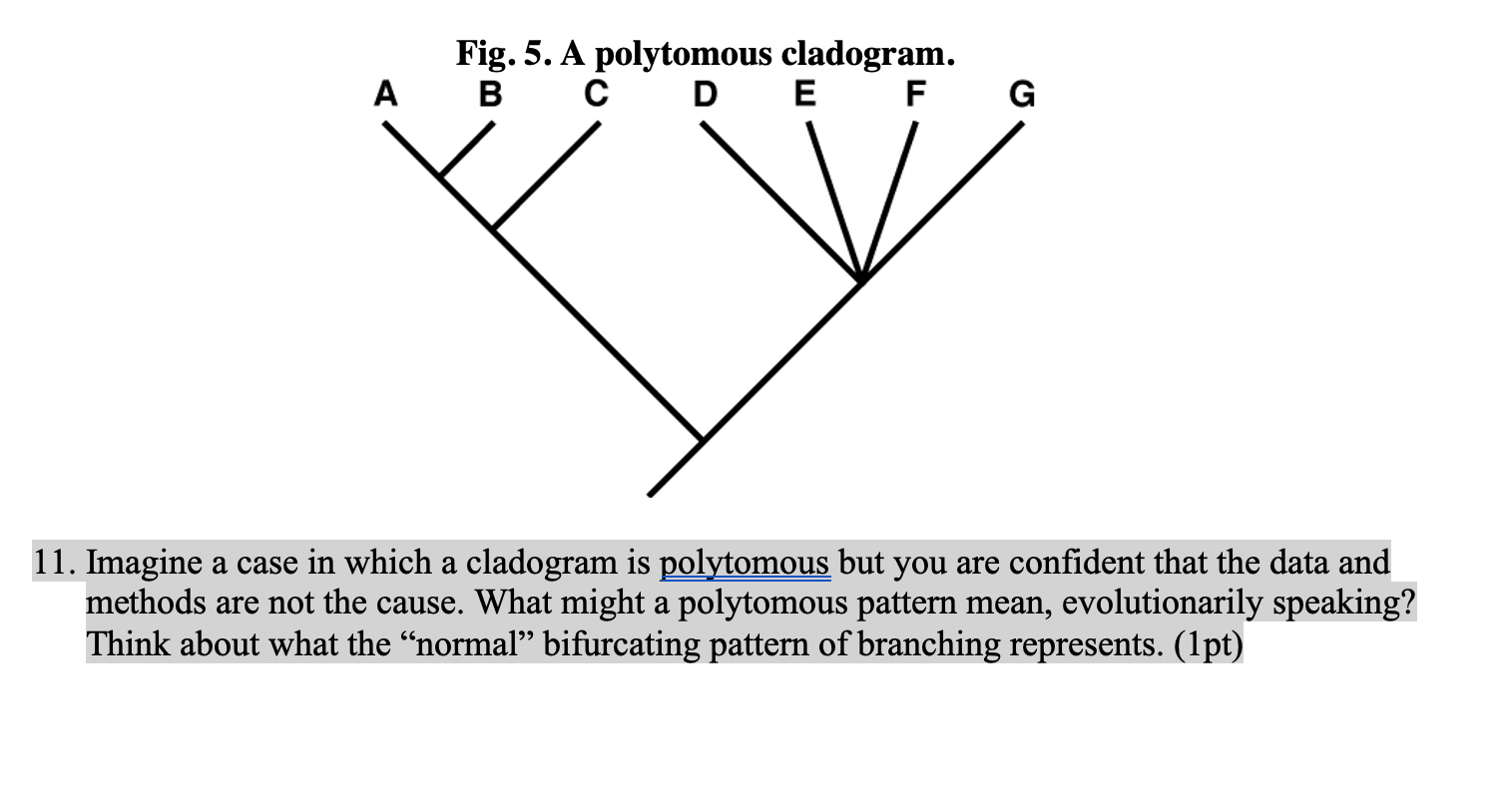 Solved Fig. 5. A polytomous cladogram. B с DE F A G 11. | Chegg.com