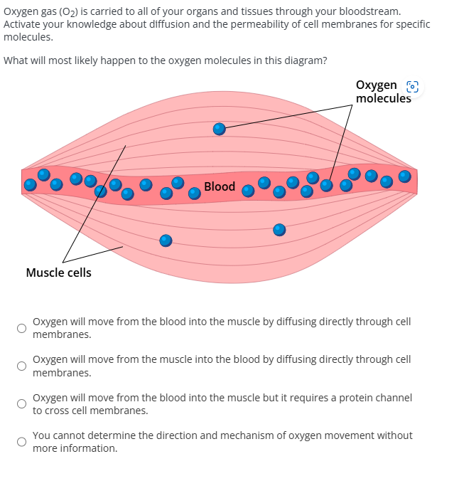 Solved Oxygen gas (O2) ﻿is carried to all of your organs and | Chegg.com