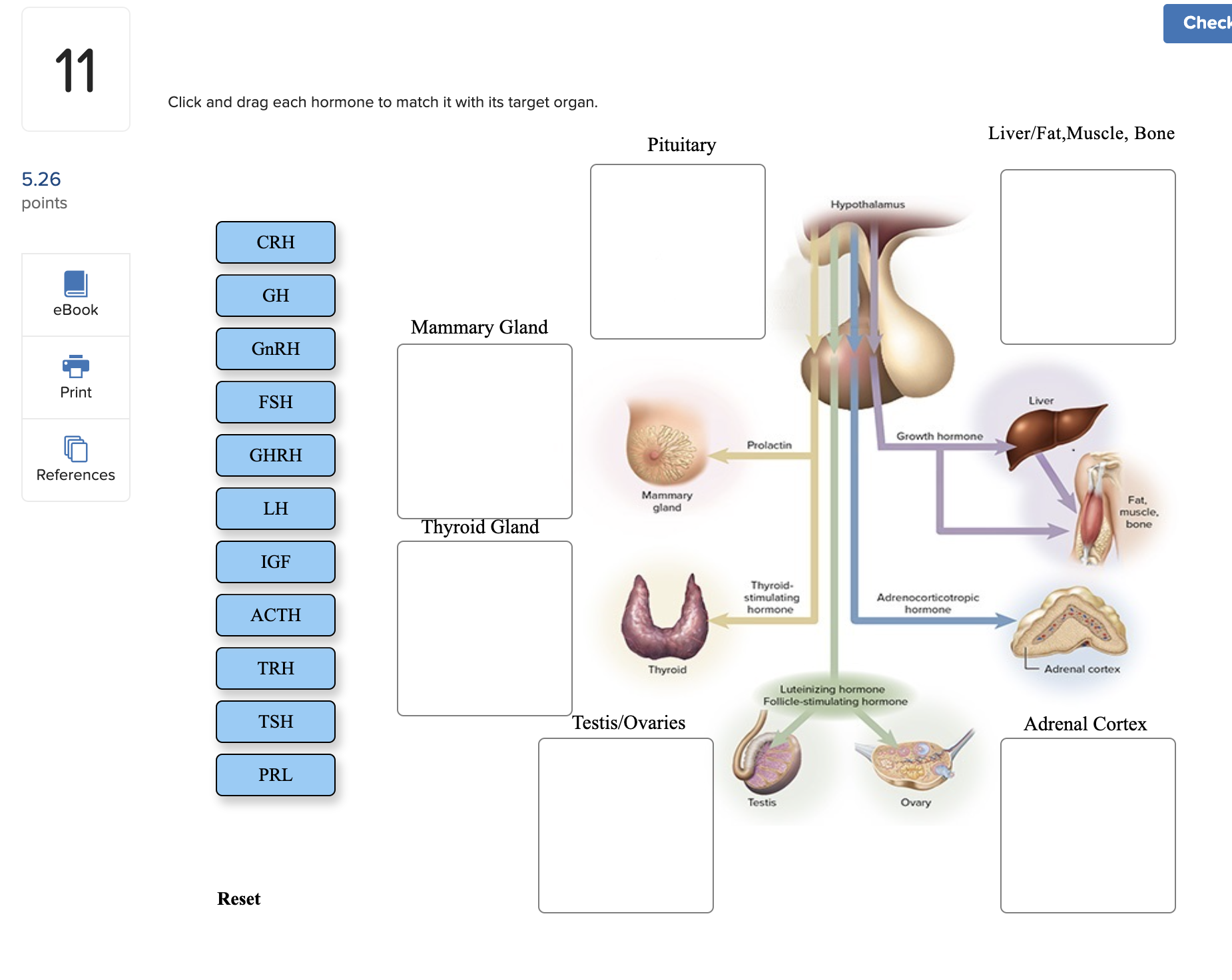 Solved 11 Checl Click and drag each hormone to match it with | Chegg.com