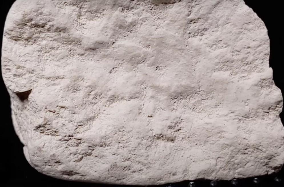 Solved SEDIMENTARY ROCKS WORKSHEET Does matrix fizz in acid? | Chegg.com