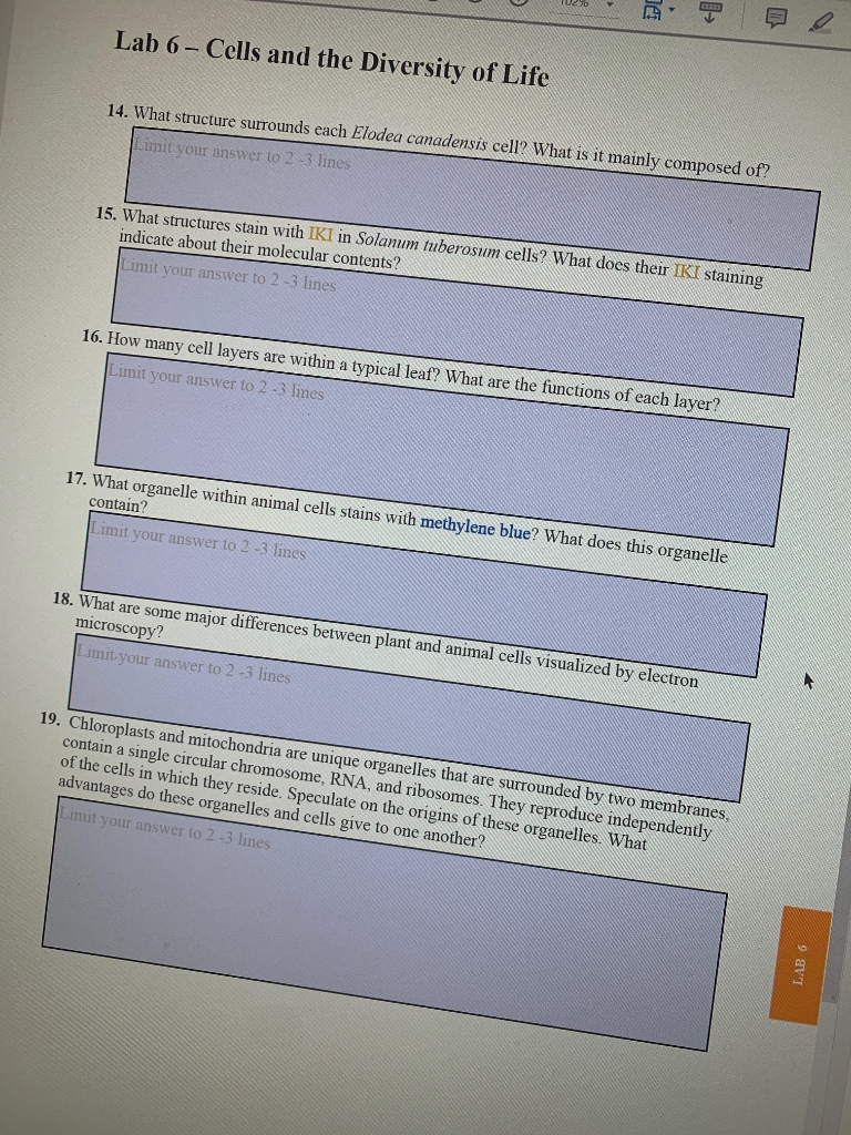 Solved Lab 6 - Cells and the Diversity of Life 14. What | Chegg.com