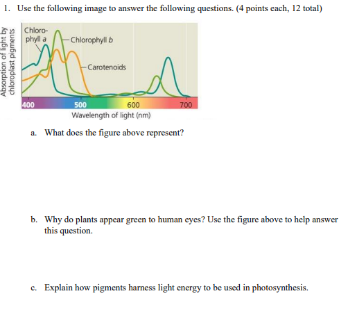 Solved Use the following image to answer the following | Chegg.com