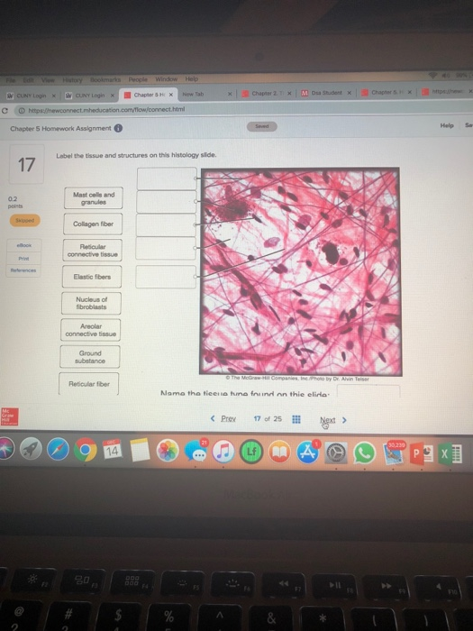 Solved Help Sa Chapter 5 Homework Assignment Label The 1992